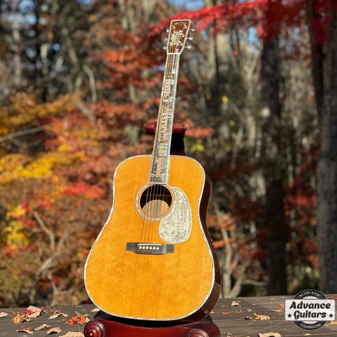 1967年製 D-28 "TRAIN"（Inlayed by Larry Robinson,Engraved by Greg Rich）