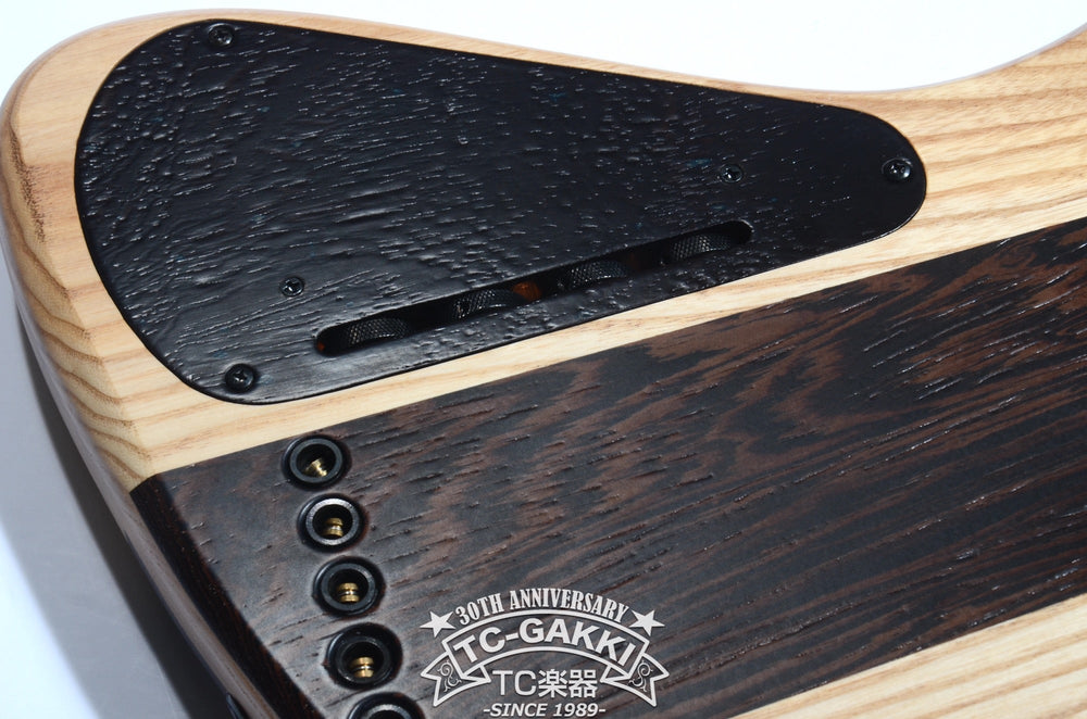 2024 Infinity Ghost 6 strings