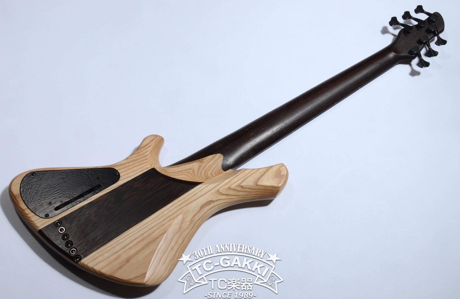 2024 Infinity Ghost 6 strings