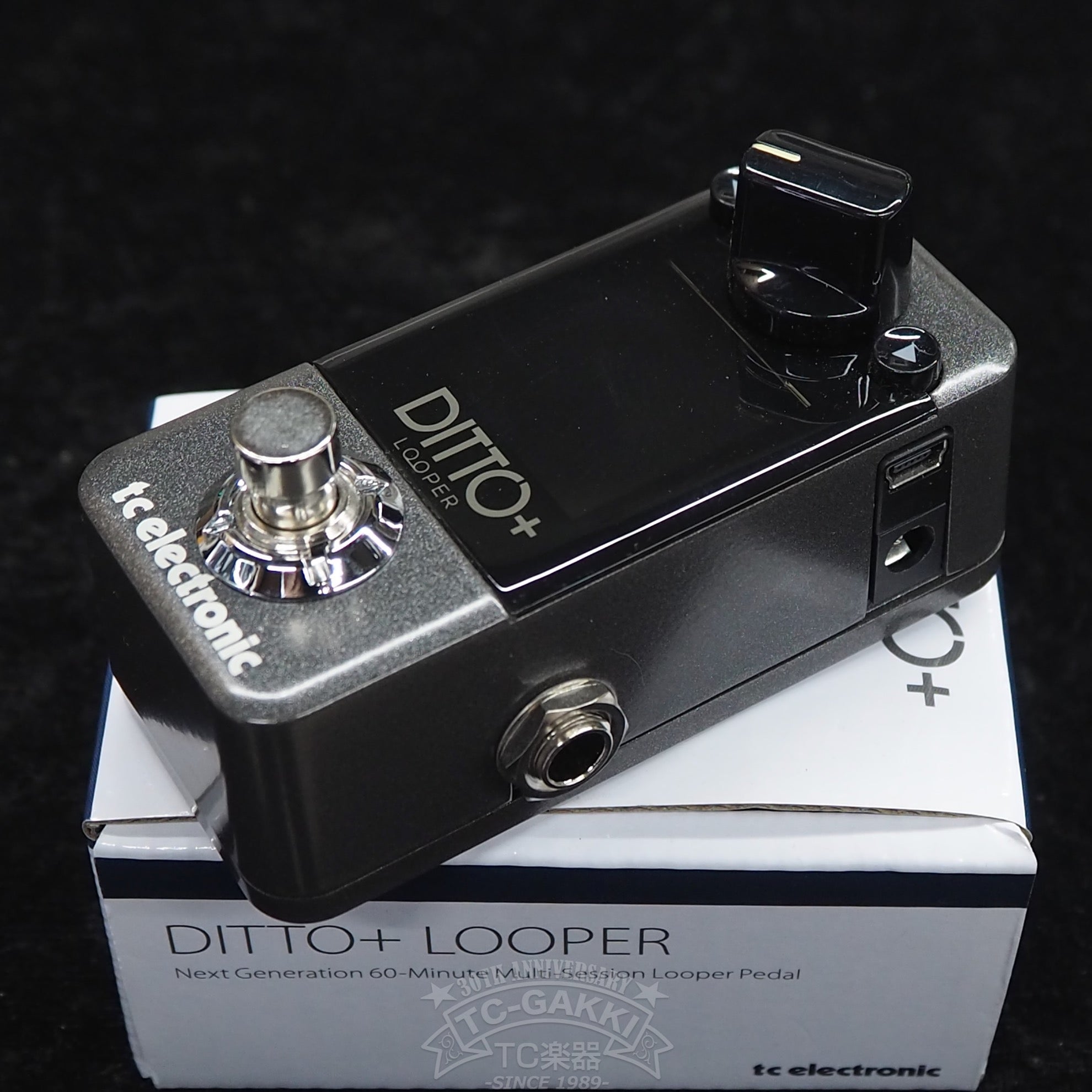 DITTO+ LOOPER