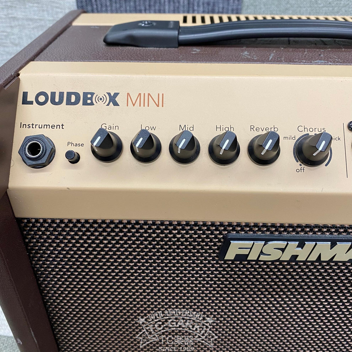 LOUDBOX MINI